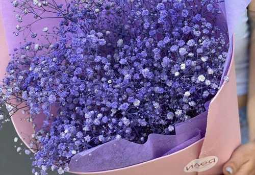 Фиолетовая гипсофила цветы с доставкой