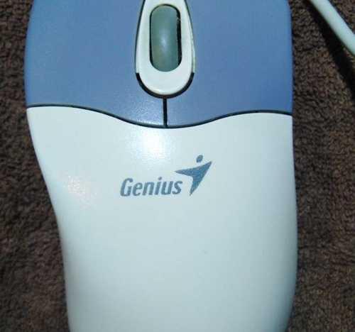 Мышь USB проводная Genius Optical Wheel Mouse