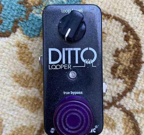 Tc Electronic Ditto Looper