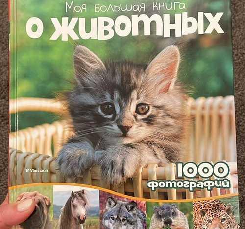 Моя большая книга о животных"