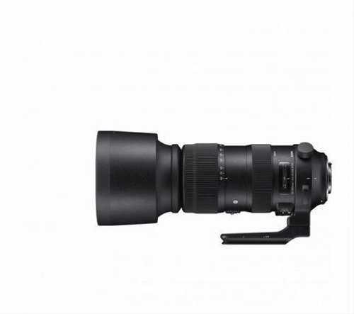Sigma AF 60-600mm f/4.5-6.3 DG OS HSM Sports Nikon