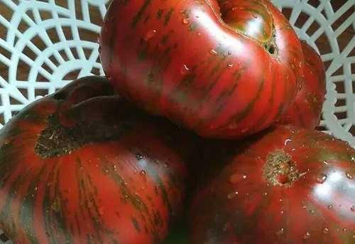 Семена томатов :экзотичные, народные любимцы