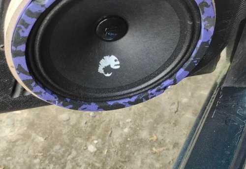 Dl audio piranha 165