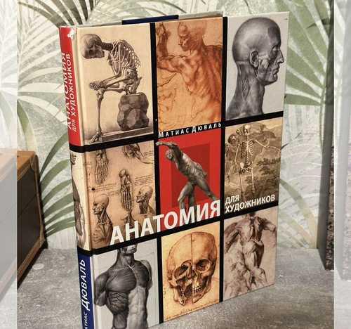 Анатомия для художников Матиас Дюваль книга