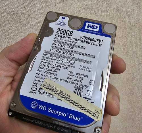 Жесткий диск для ноутбука (HDD) WD-250gb