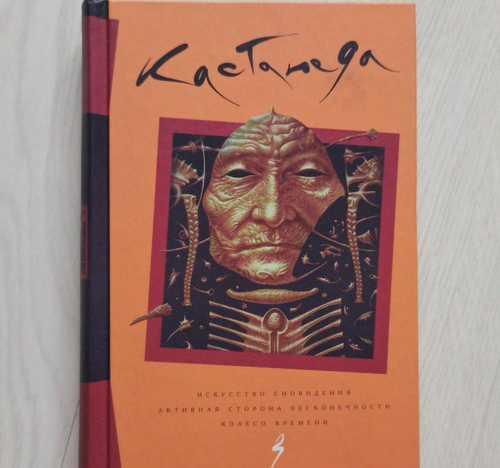 Карлос Кастанеда книга 3 том