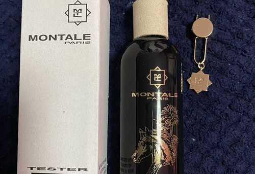 Montale Arabians Tonka