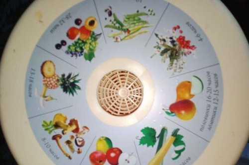 Электронная сушилка для фруктов, грибов и ягод