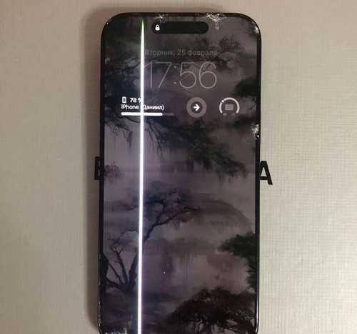 iPhone 16 Pro Max, 256 ГБ