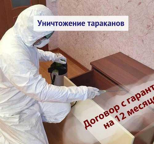 Уничтожение клопов тараканов грызунов