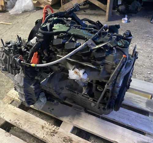 Двигатель 1.3 LDA Honda civic Япония пробег 73831