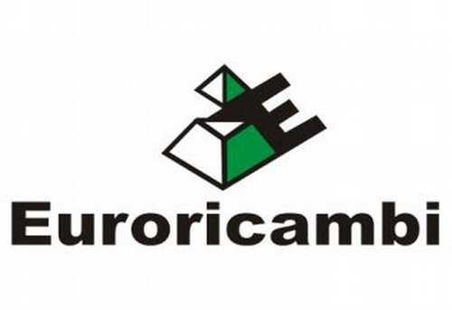 Euroricambi 74530561 Кольцо синхронизатора кпп Sca