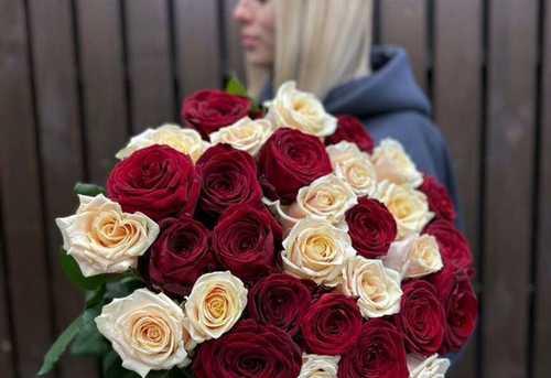 31 роза 70 см красная и кремовая