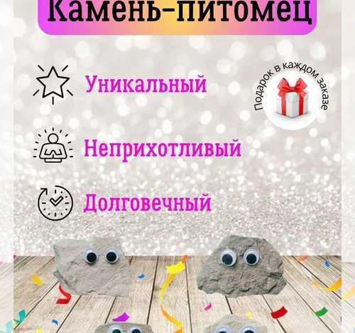 Камень питомец