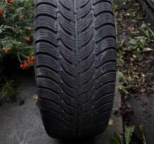 Sava Eskimo Ice 205/55 R16