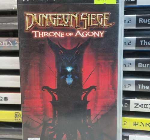 Dungeon Siege Throne of Agony PSP
