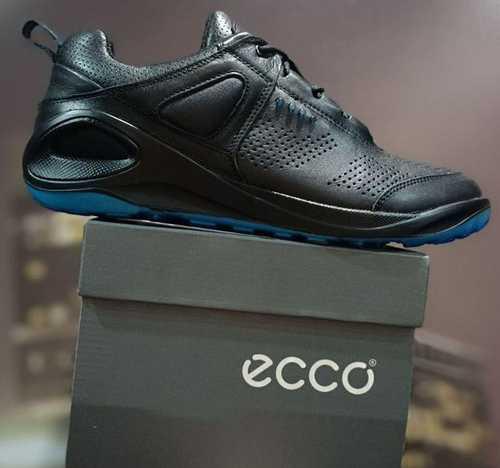 Кроссовки Ecco Biom 2go