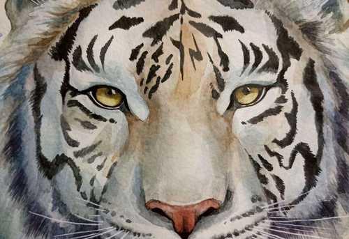 Картина акварелью "Белай тигр"