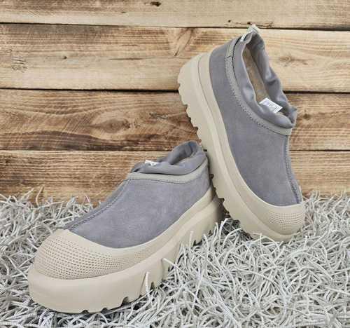 Угги UGG Tasman Hybrid Seal Birch оригинал