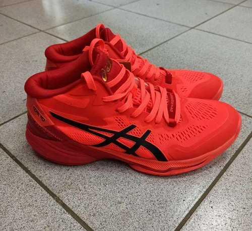 Волейбольные кроссовки Asics и Mizuno