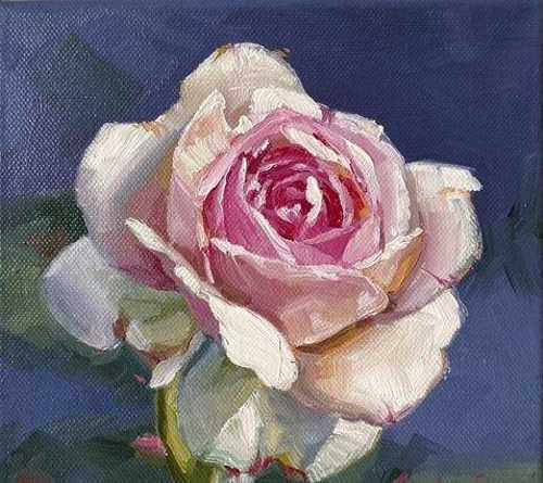 Картина маслом на холсте «Роза»