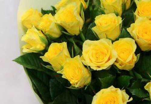 Букет экспресс из 25 желтых роз 40-50 см (Россия)