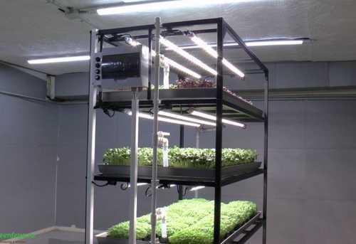 Гидропонная установка для выращивания микрозелени