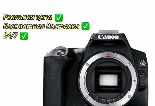 Фотоаппарат Canon EOS 250D Body, черный