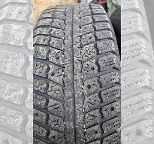 Matador MP 50 Sibir Ice 195/65 R15