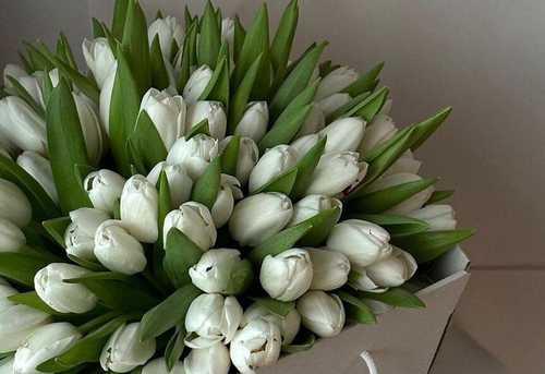 Белые тюльпаны, доставка цветов, букет тюльпанов