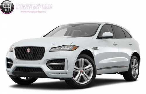 Электропривод задней двери для Jaguar F-Pace