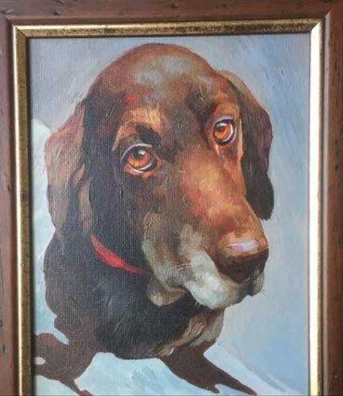 Картина маслом,собака,портрет собаки