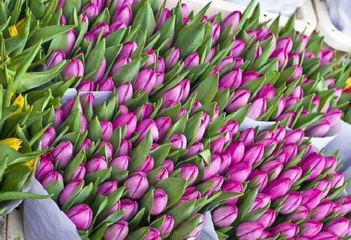 Тюльпаны цветы оптом на 8 марта или праздники