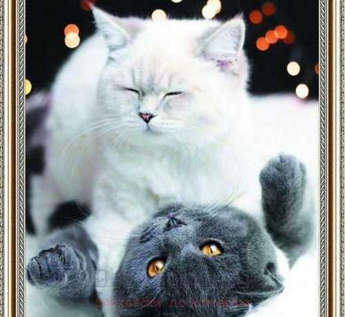 Алмазная мозаика 40x50 Белая кошечка и серый кот