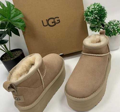 UGG mini platform