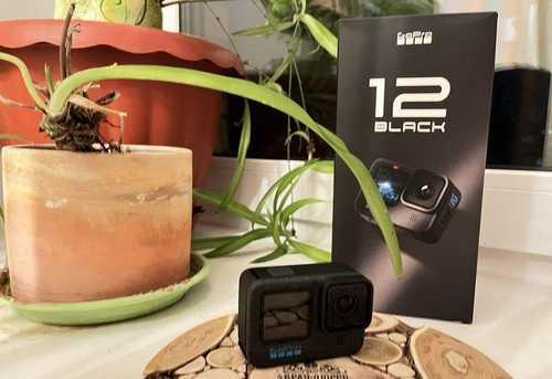 GO pro hero 12 black (Аренда)