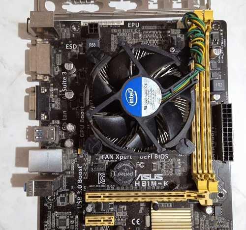 Asus H81m-k G3240box