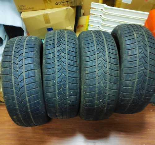 Tigar Winter 1 215/60 R16 99H