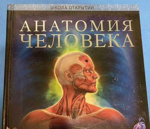 Книга раскладушка анатомия