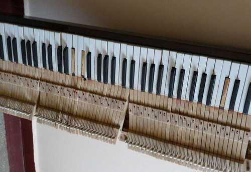 Клавиатура пианино "Лирика"