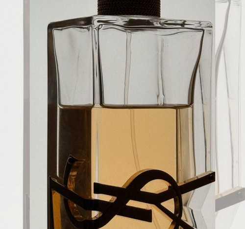 YSL libre