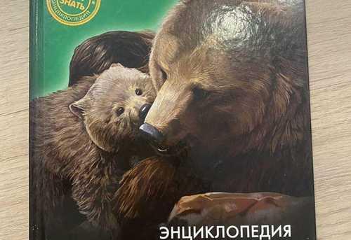 Энциклопедия Медведи