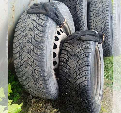 Nokian Tyres Hakkapeliitta 8 195/65 R15 95L