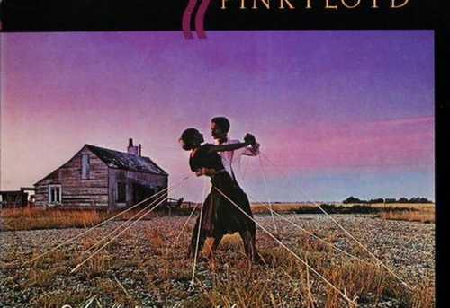 Pink Floyd / A Collection Of Great Dance Songs (LP