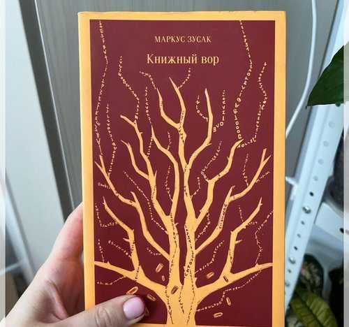 Книги (Книжный вор, зерцалия)