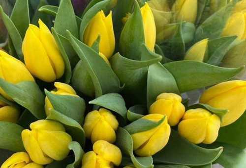 Букеты тюльпанов к 8 марта