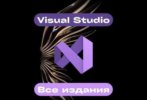 Visual Studio Ключ версии