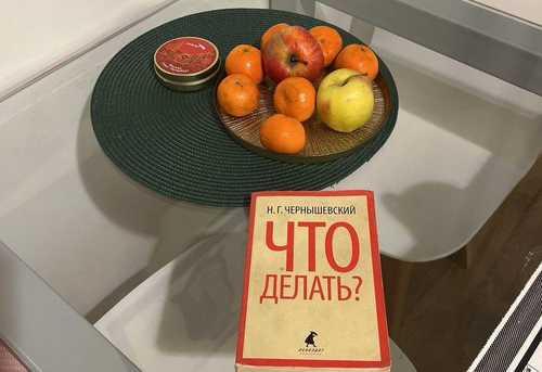 Книга Н.Г. Чернышевский «Что делать»