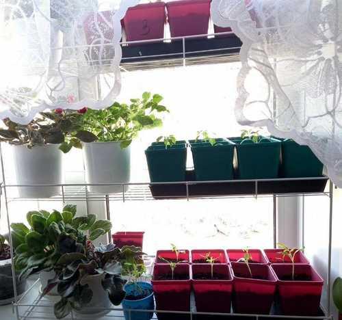 Подставка для рассады, 3 ярусная, на окно