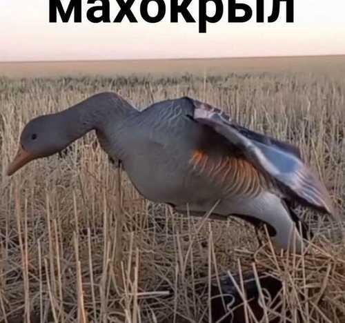 Муляж гуся махокрыл oscar decoys